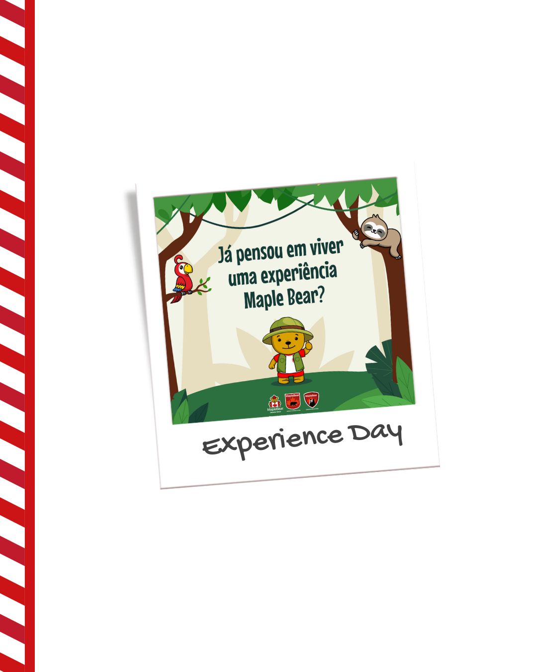 Maple Bear Experience Day a melhor forma de conhecer nossa metodologia